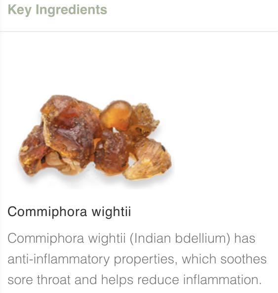 Septilin Syrup 100mls - Kids / adults, Health & Nutrition, Health ...