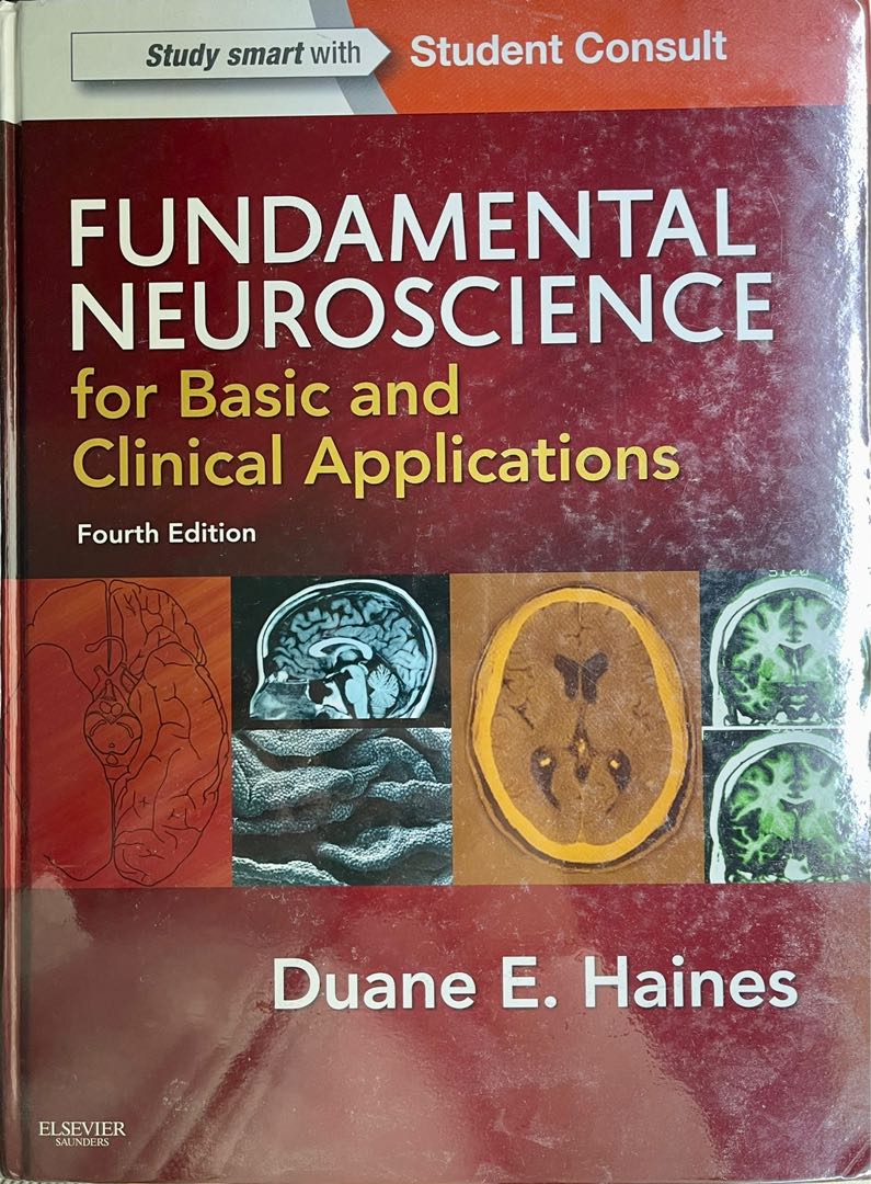Fundamental Neuroscience, Hobbies & Toys, Books & Magazines, Textbooks ...