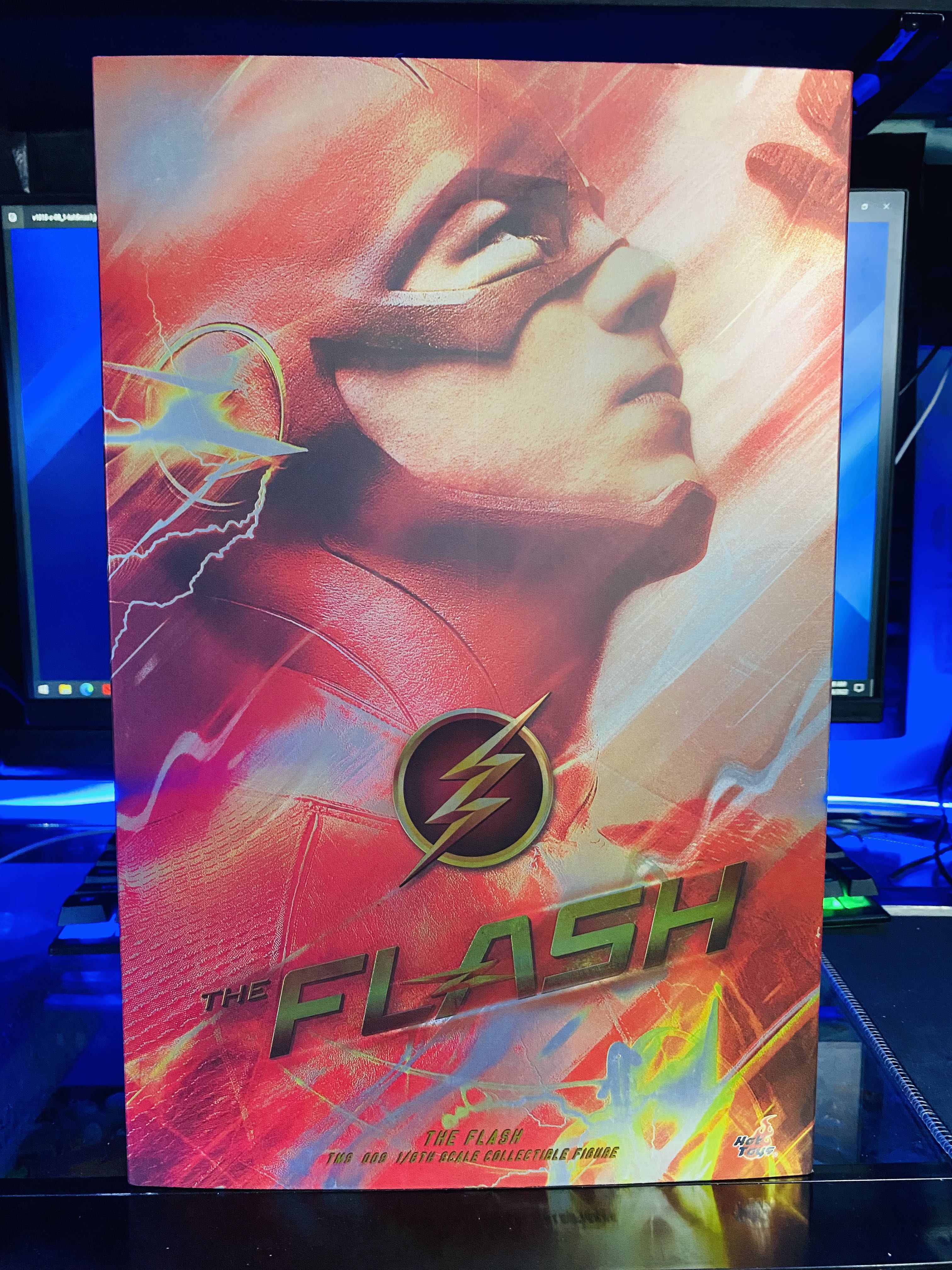 Hot toys The Flash - MIB, Hobbies & Toys, Toys & Games on Carousell