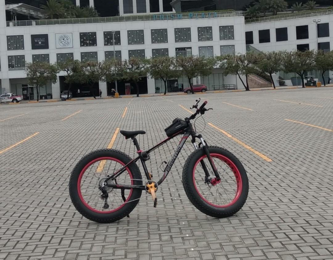 Phantom Herculin (upgraded), Sports Equipment, Bicycles & Parts ...