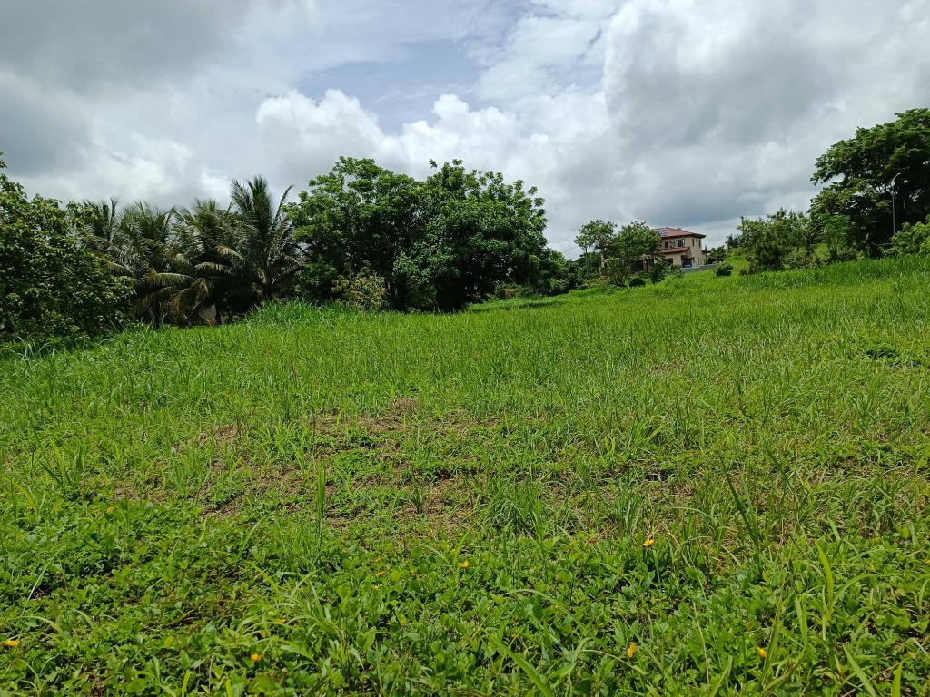 Ponderosa Farms Lot for Sale Flat Terrain in Silang Cavite near ...