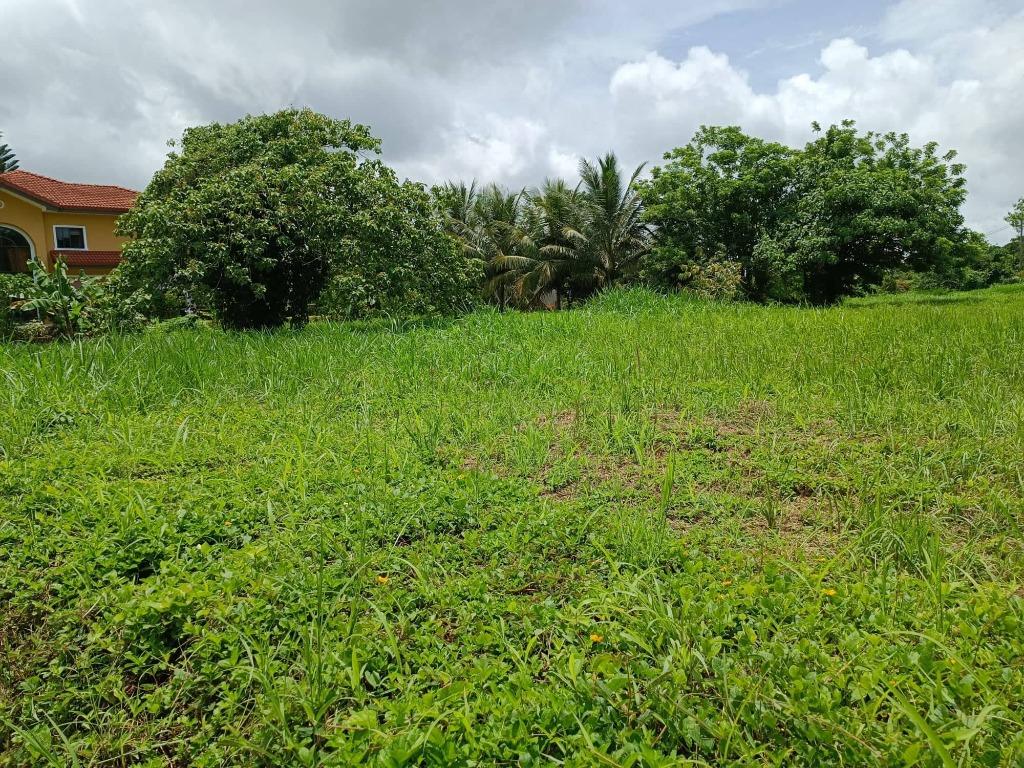 938 sqm Ponderosa Leisure Farms Lot for Sale Flat Terrain , Property ...