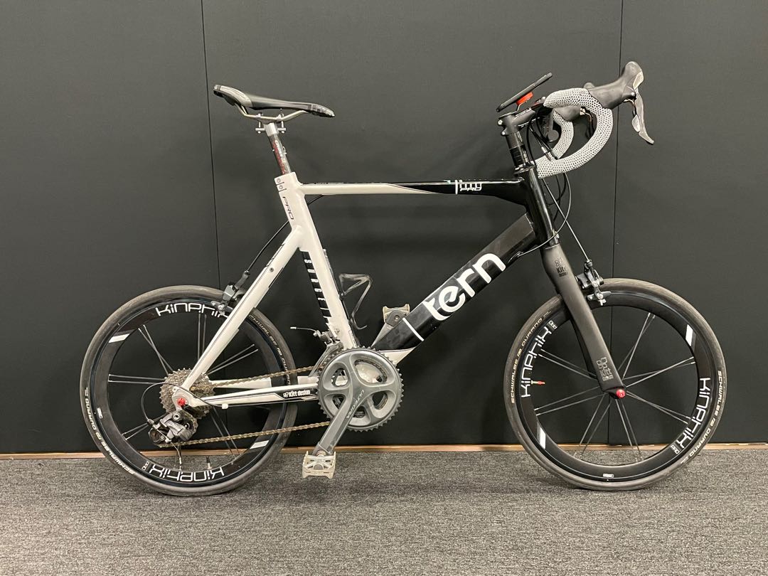 Tern Surge Pro 52cm 451 小輪徑 單車, 運動產品, 單車及配件, 單車 - Carousell