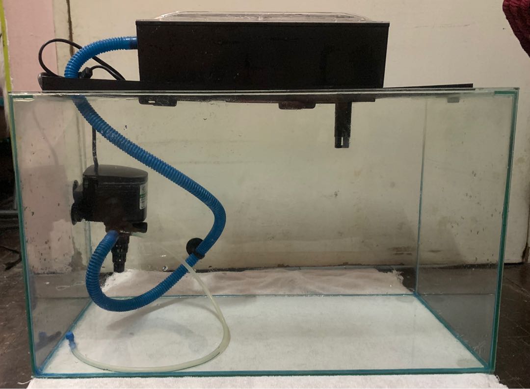 10 GALLON AQUARIUM/FISH TANK WITH OVERHEAD FILTER. Included: Siphon ...