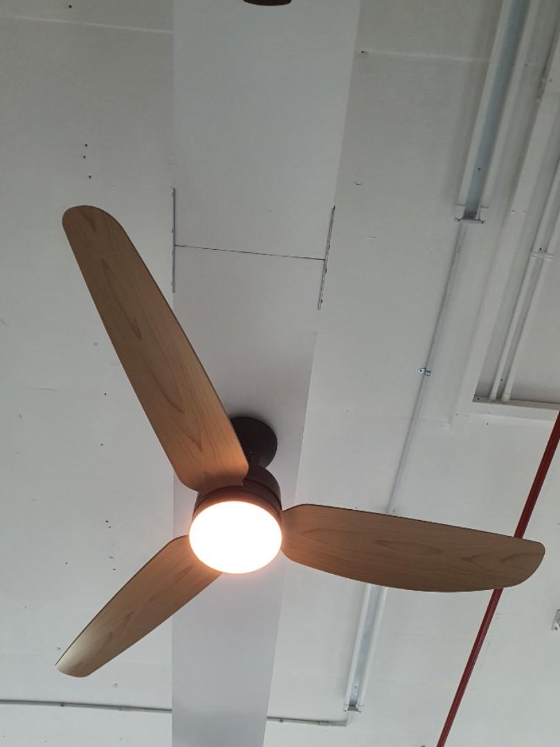 Ceiling Fan - Daiko Raku 42" Pinewood - BNIB, Furniture & Home Living ...