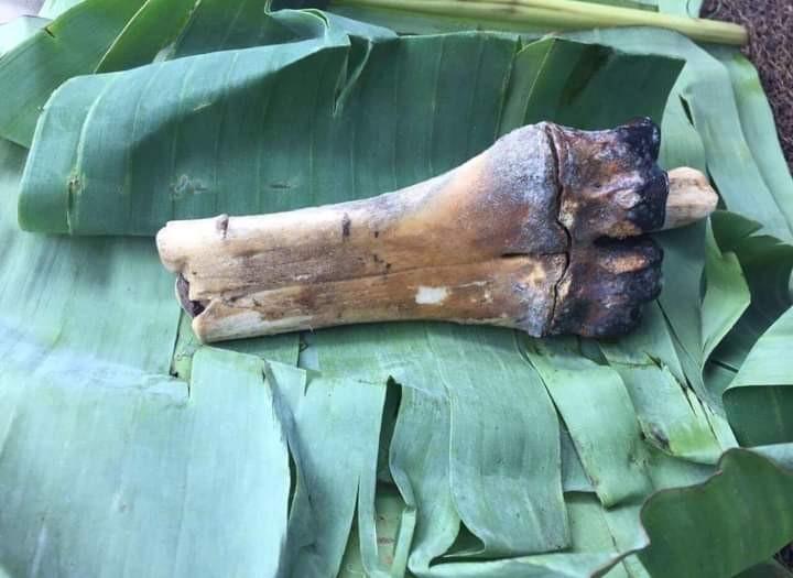 Tulang mawas besi full ring (Lam Alif) capal (for sharing), Everything ...