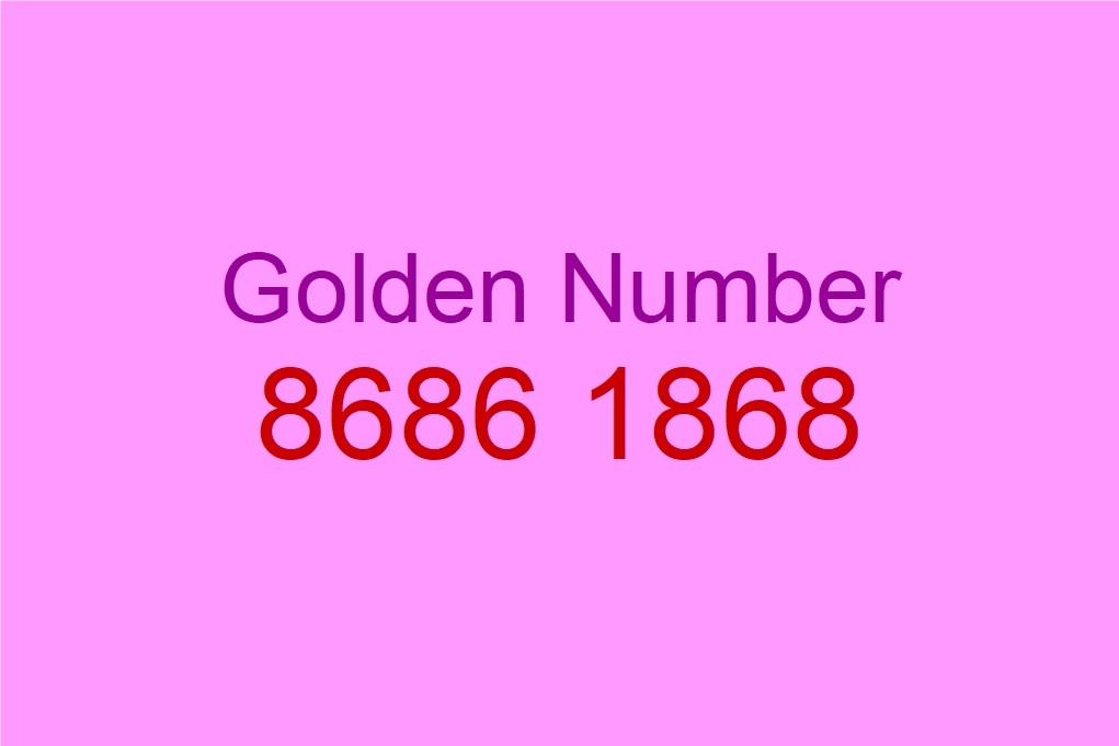 Golden Number Super Lucky Number Wealthy Number Auspicious Number ...