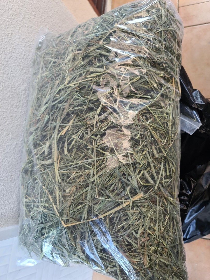 Timothy Hay for Rabbit, Pet Supplies, Pet Food on Carousell