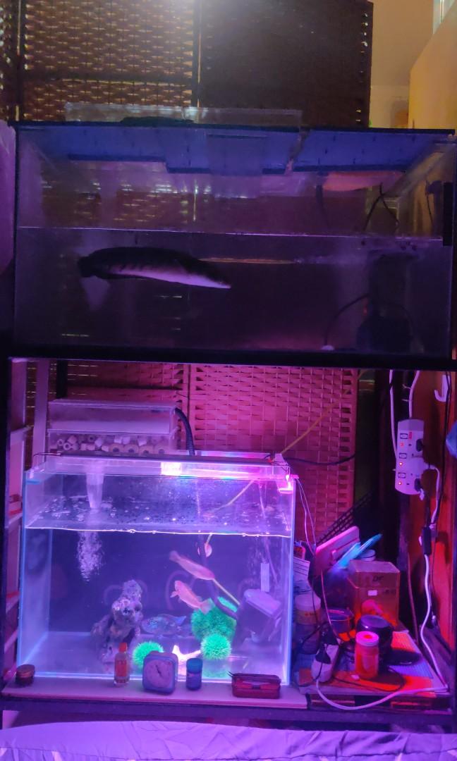 N-Rack Accessories at Aiden Ligar blog