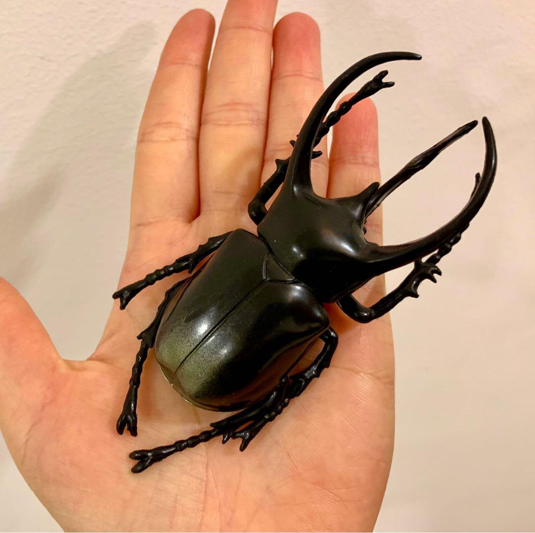 [Japan] Staghorn Rhinoceros Beetles Figurines/Mechanical Toys, Hobbies ...