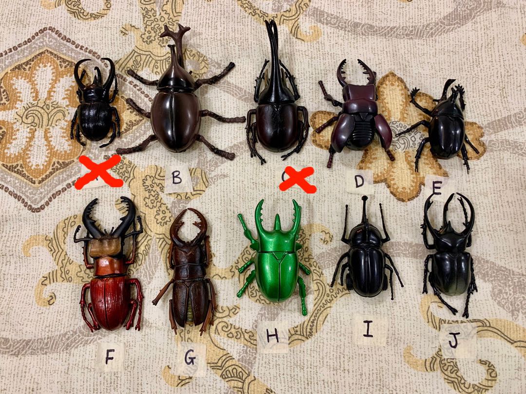 [Japan] Staghorn Rhinoceros Beetles Figurines/Mechanical Toys, Hobbies ...