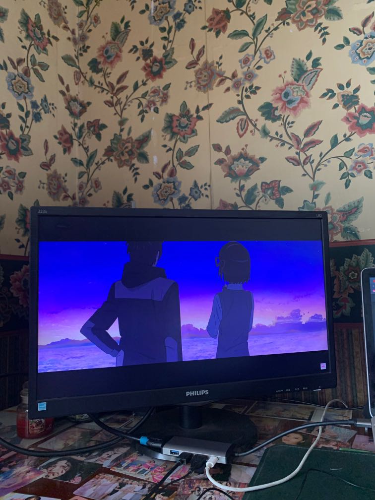 LES Philips 21 inch monitor, Computers & Tech, Desktops on Carousell