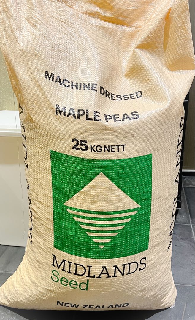 Maple Pea Seeds (per kg), Furniture & Home Living, Gardening, Plants ...
