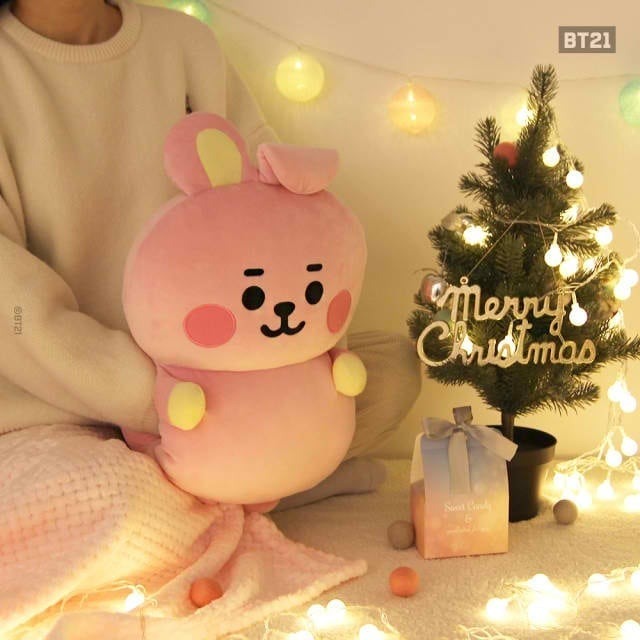 Official BT21 Double Hand Warmer, Hobbies & Toys, Memorabilia ...
