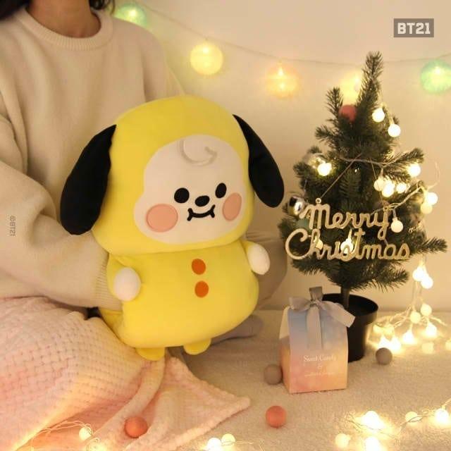 Official BT21 Double Hand Warmer, Hobbies & Toys, Memorabilia ...