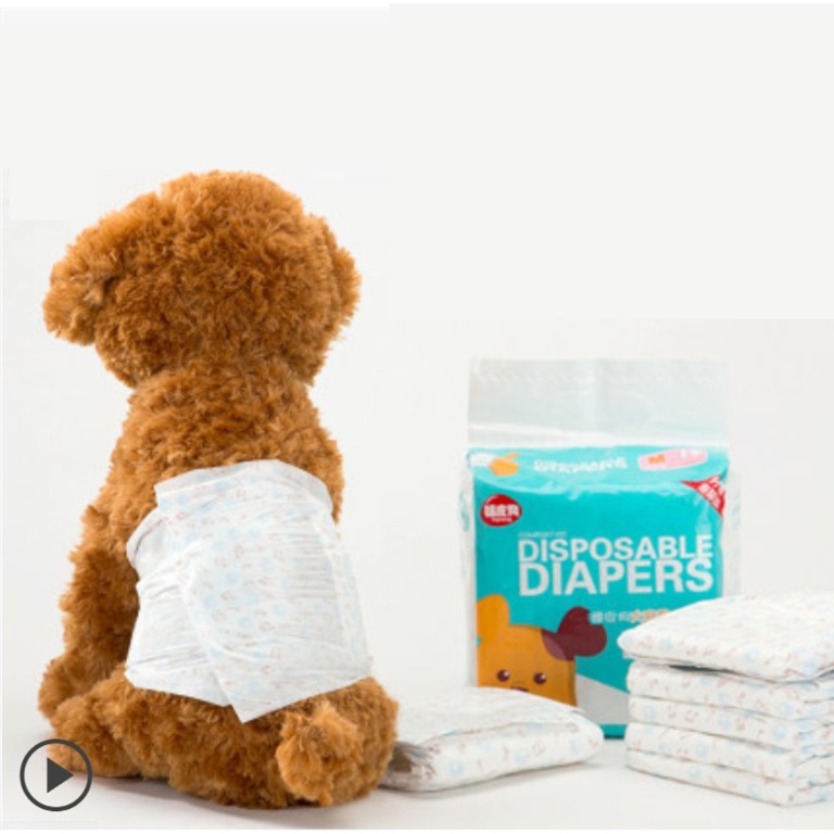Pet / Dog Male Diapers Pampers, Pet Supplies, Homes & Other Pet ...