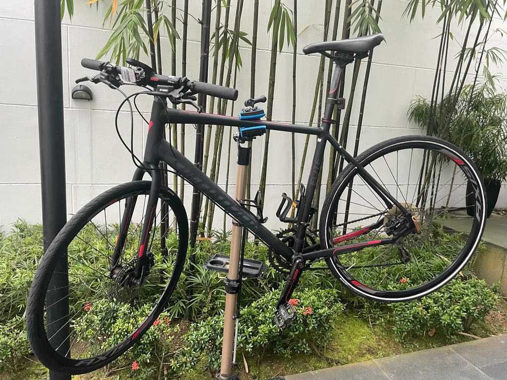 Specialized Sirius Elite (Size L), Sports Equipment, Bicycles & Parts ...