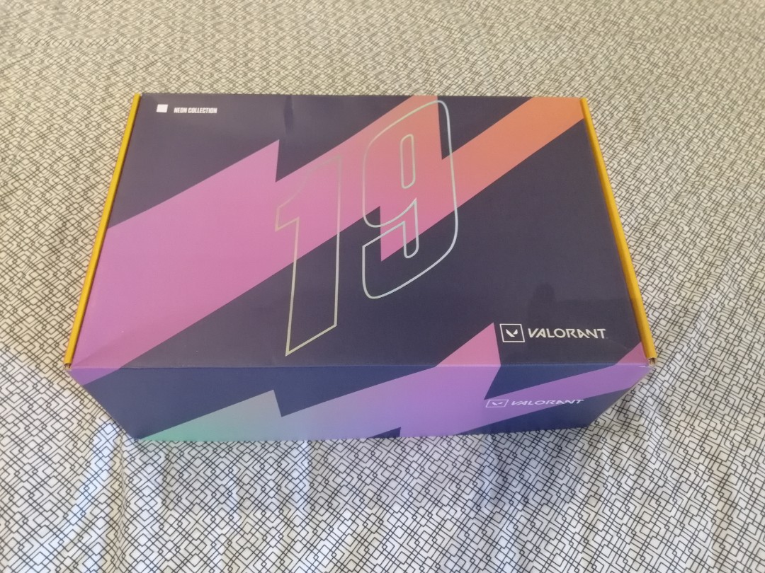 Valorant Neon Collection, Video Gaming, Video Game Consoles, Others on ...