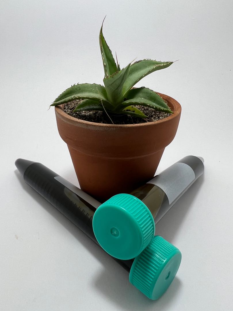 5% Abamectin insecticide/pesticide/miticide (15ml), Furniture & Home ...