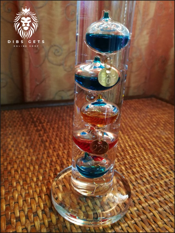 Albert Einstein Thermometer, Furniture & Home Living, Home Decor, Other ...