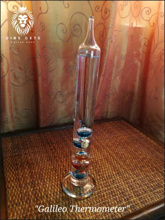 Albert Einstein Thermometer, Furniture & Home Living, Home Decor, Other ...