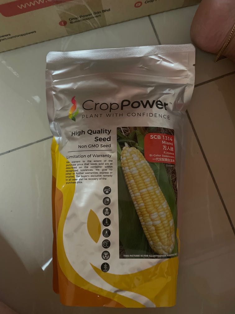 Benih Jagung Mutiara / Bi-colour Sweetcorn / 黄白甜玉米种子 – (SCB1314) 500g ...
