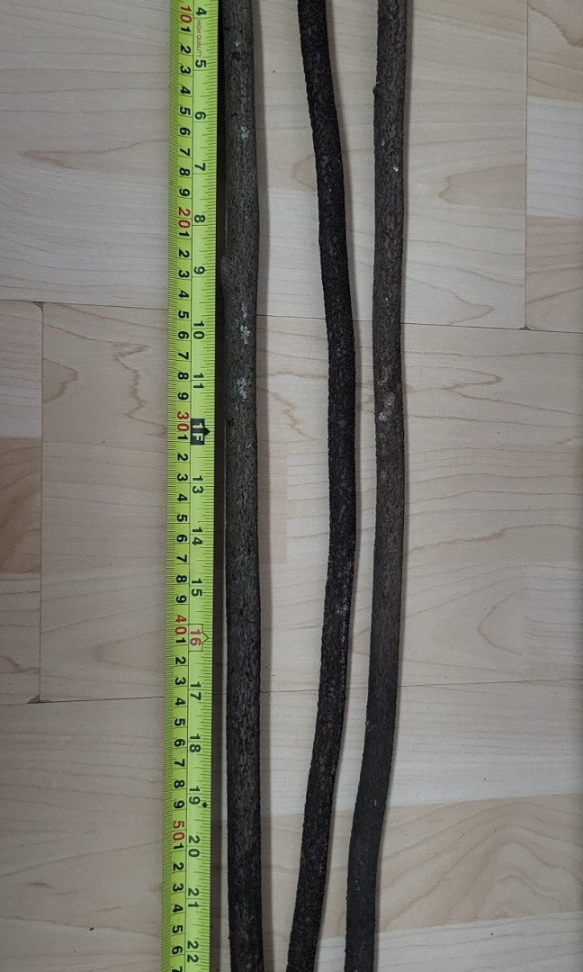 Cenderai wooden perch, Pet Supplies, Homes & Other Pet Accessories on ...