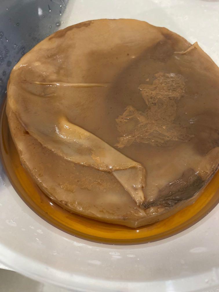 Kombucha Scoby, Food & Drinks, Other Food & Drinks on Carousell