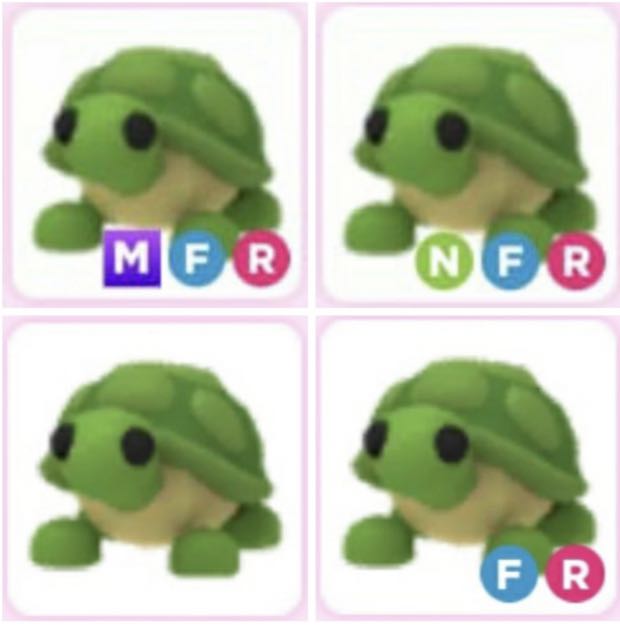 MFR Turtle | Adopt Me, Video Gaming, Gaming Accessories, In-Game ...