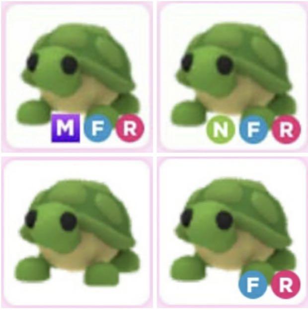MFR Turtle | Adopt Me, Video Gaming, Gaming Accessories, In-Game ...
