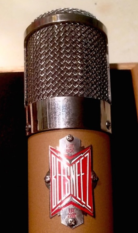 BeesNeez Lily Professional Studio Ribbon Microphone (One of the Finest ...