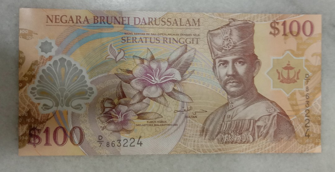 Brunei $100, Hobbies & Toys, Memorabilia & Collectibles, Currency on ...