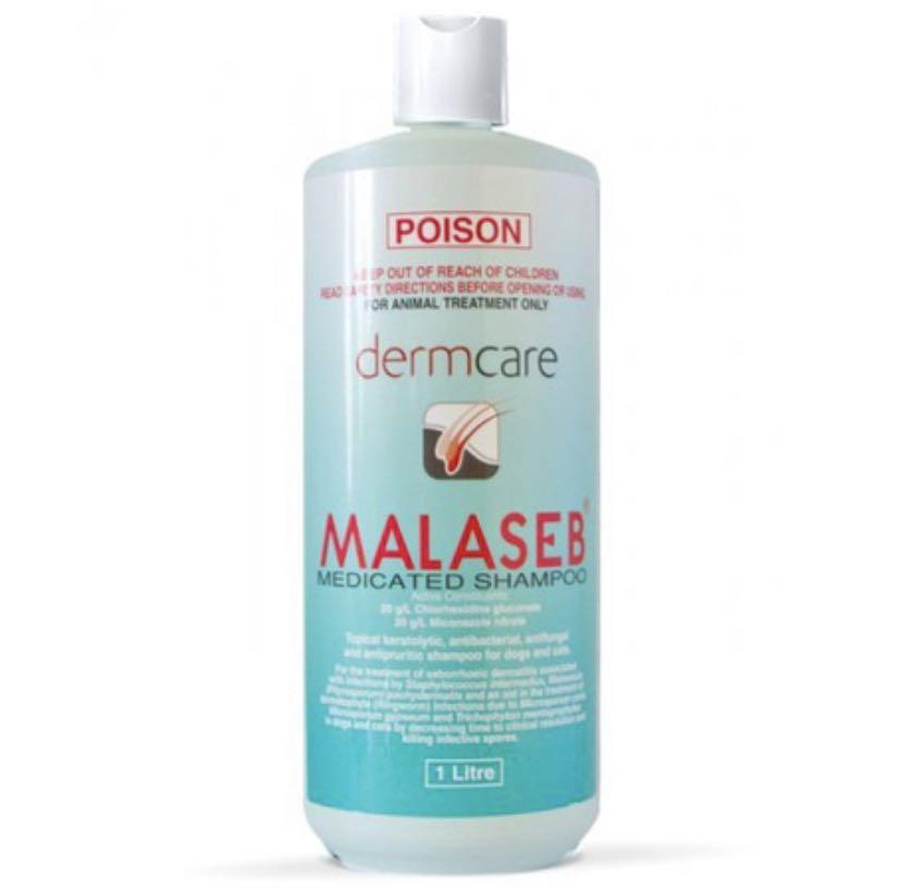 Dermcare Malaseb Shampoo, Pet Supplies, Health & Grooming on Carousell