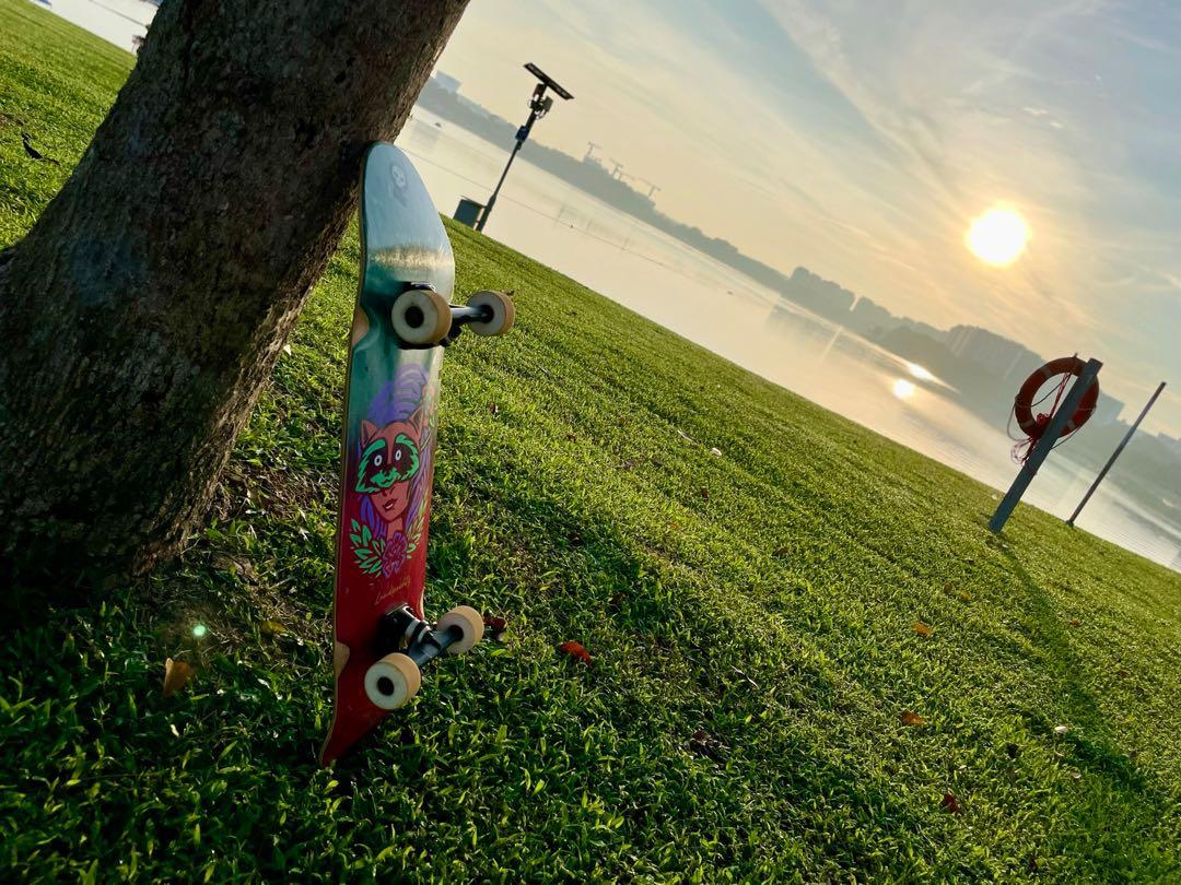 Landyachtz ATV X Perfecto Raccoon Complete 32" Skateboard, Sports ...