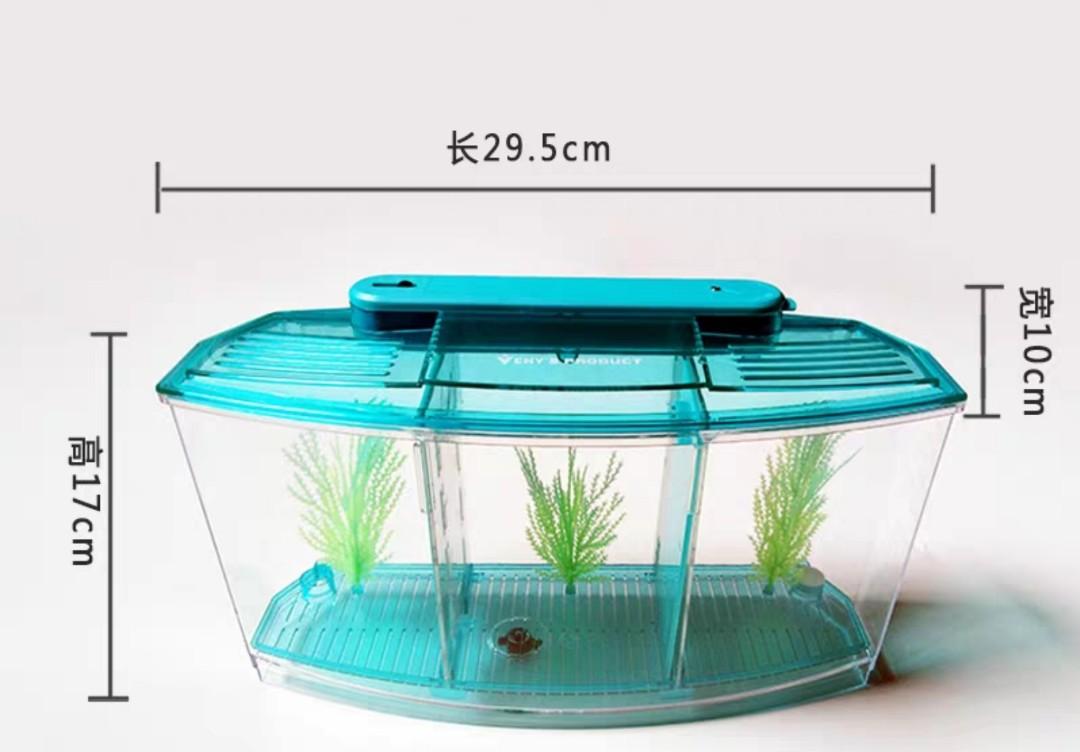 3 compartment betta tank with led light. Fish tank divider can be ...