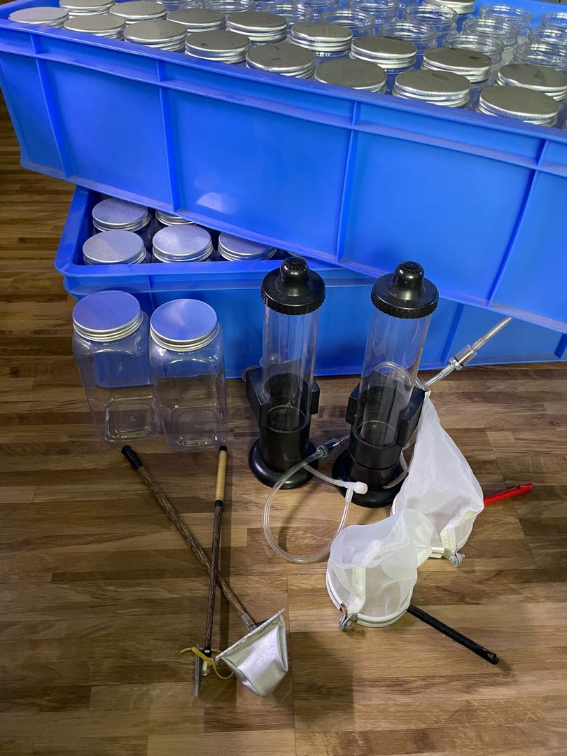 Betta breeding set, Pet Supplies, Homes & Other Pet Accessories on ...