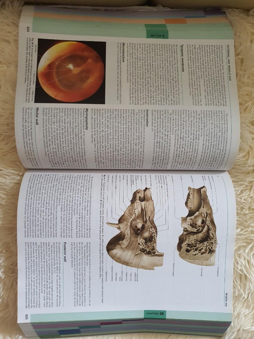 Gray's Anatomy 40th edition by Susan Standring, Hobbies & Toys, Books ...