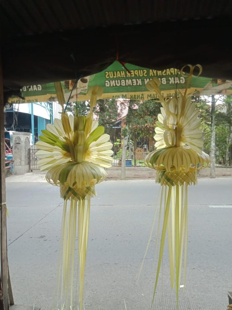Janur kuning untuk pernikahan dan khitanan cimahi bandung, Perkebunan ...