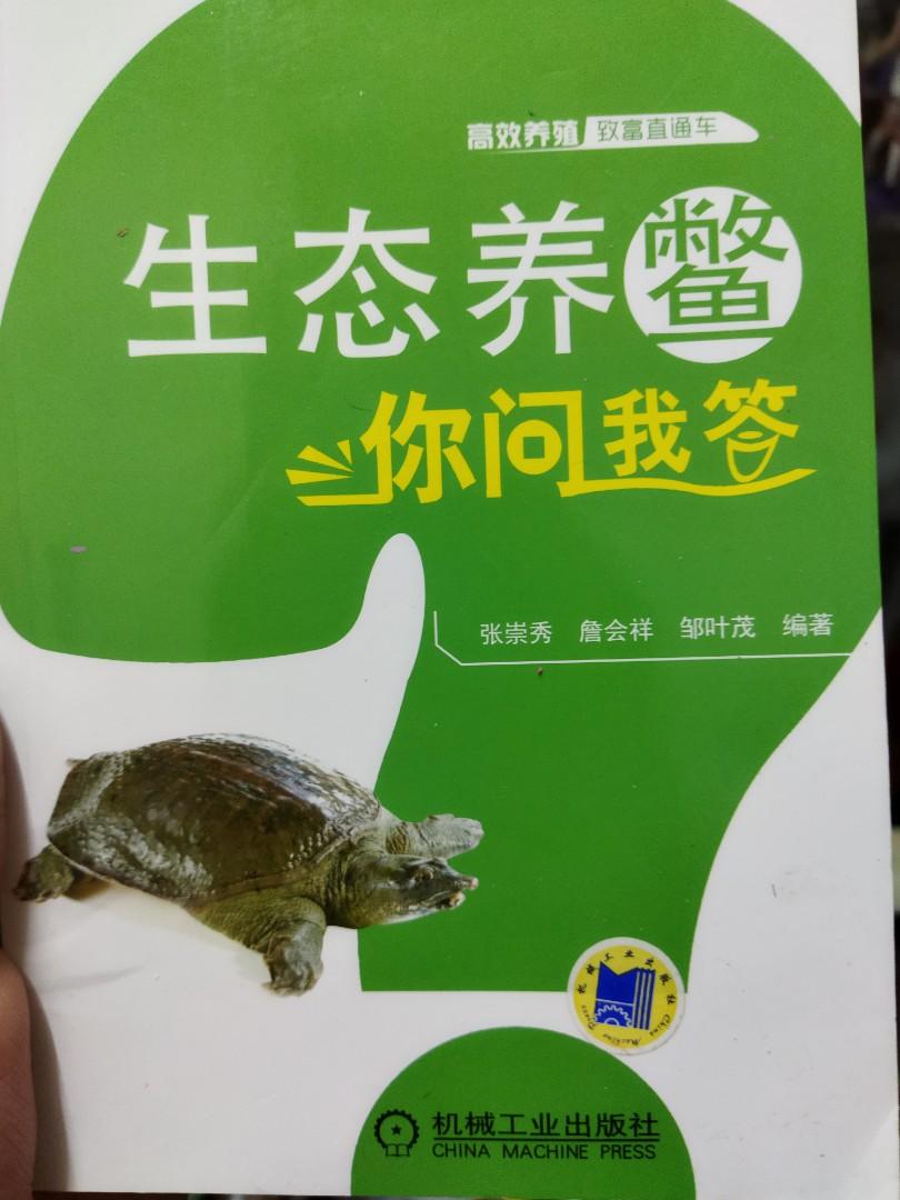 Original turtle book use jnt dfod, Hobbies & Toys, Books & Magazines ...