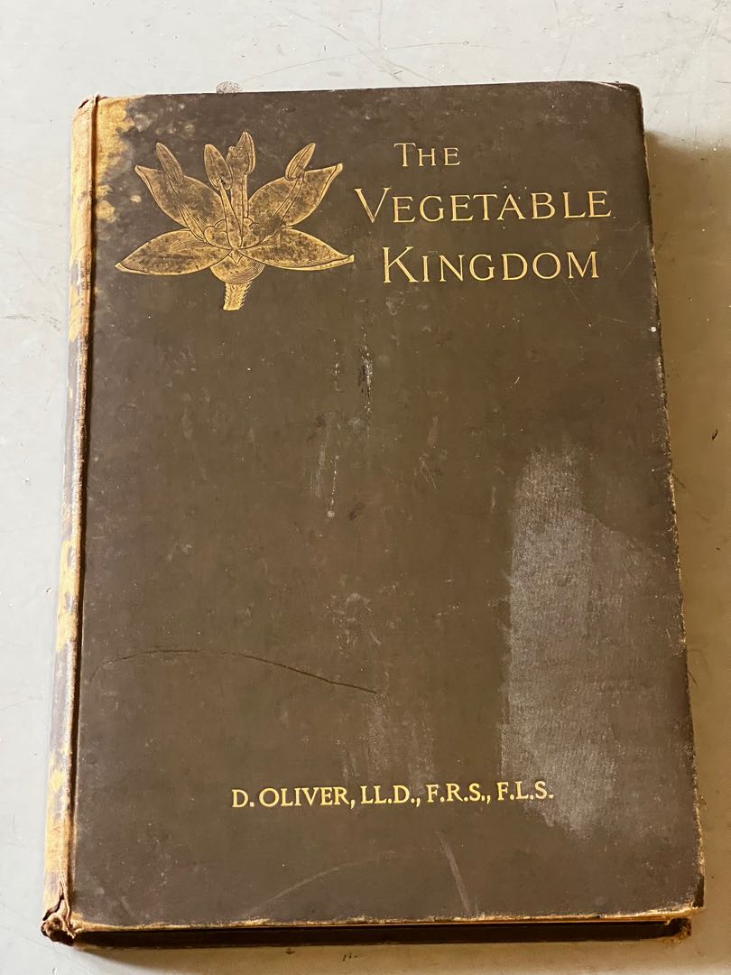 1893 Rare Antique Book Vegetable Kingdom UK, Hobbies & Toys, Books ...