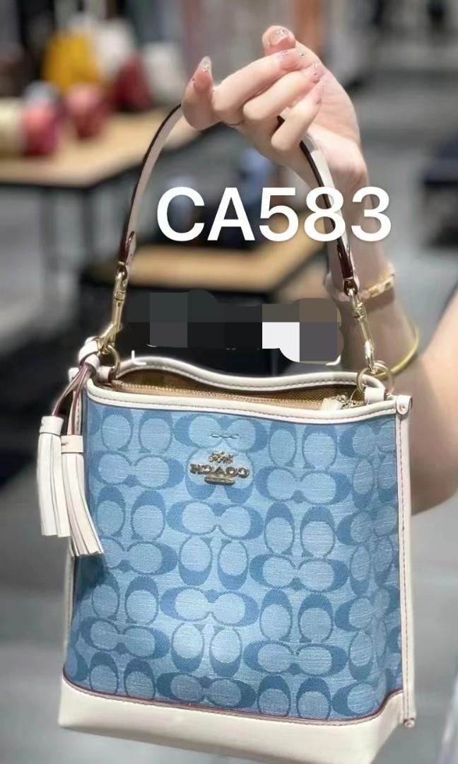 Authentic coach Strawberry Print Bucket Bag, Women's Fashion, Bags ...