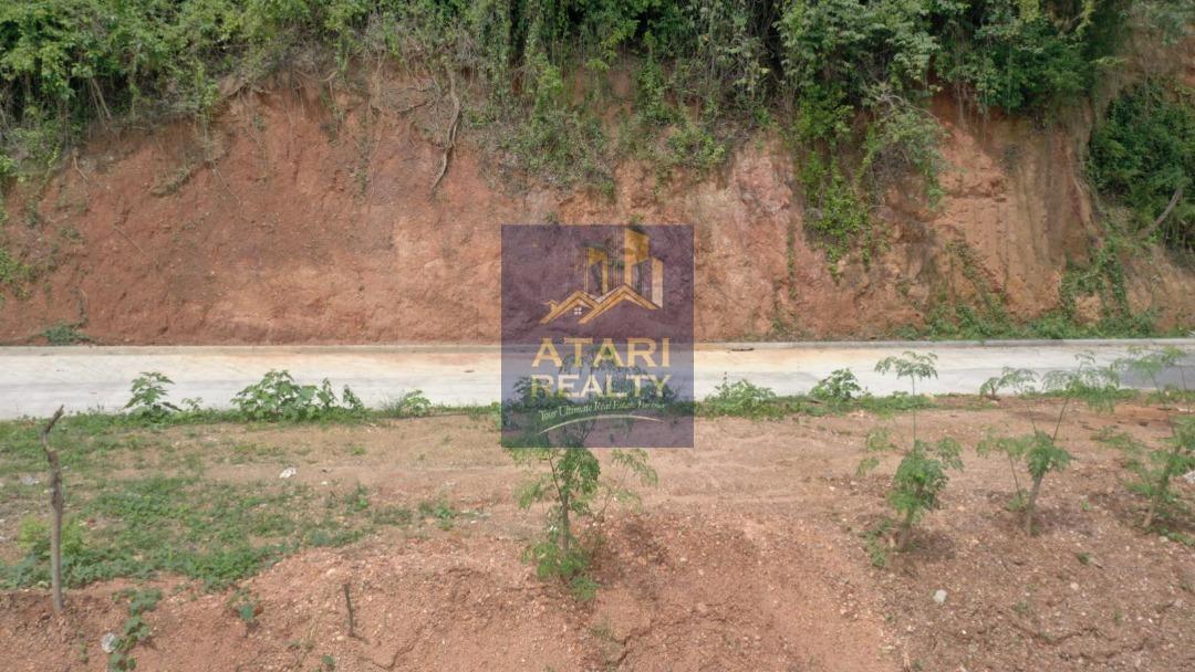 LOT FOR SALE INSIDE MARIA LUISA SUBDIVISION, Property, For Sale, Lot on ...