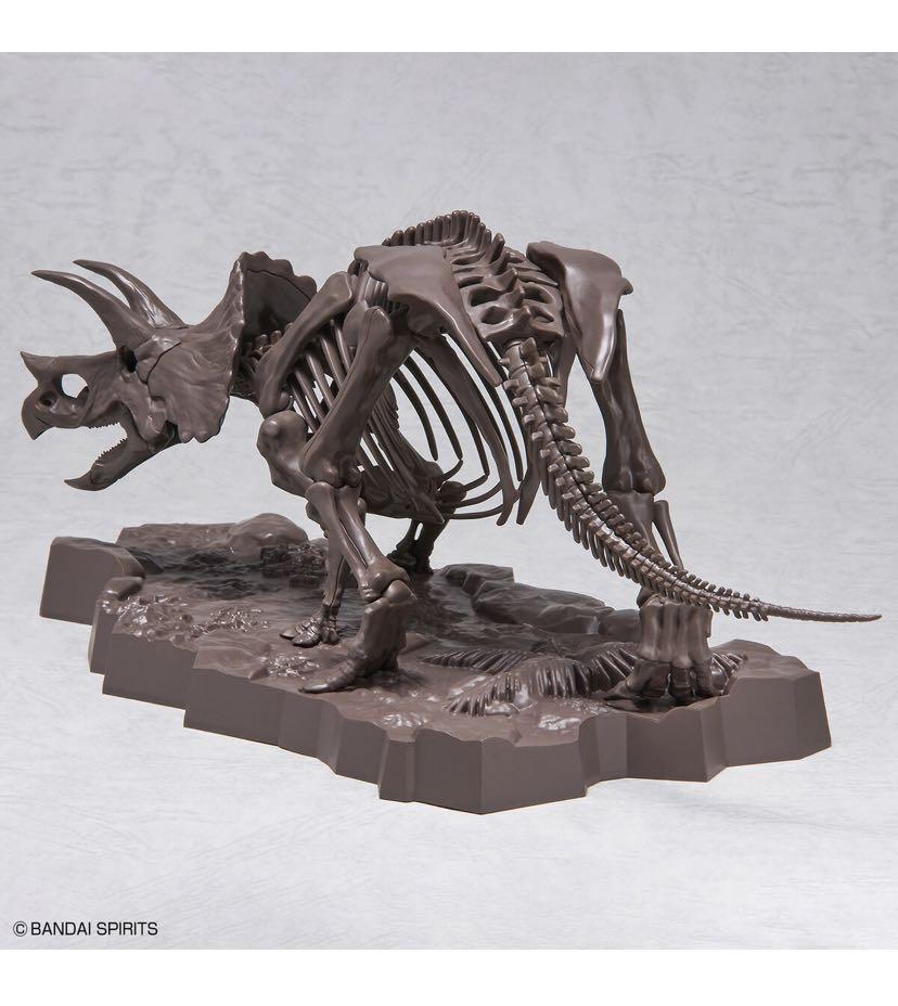 1/32 Imaginary Skeleton Triceratops Dinosaur Model Kit by Bandai ...