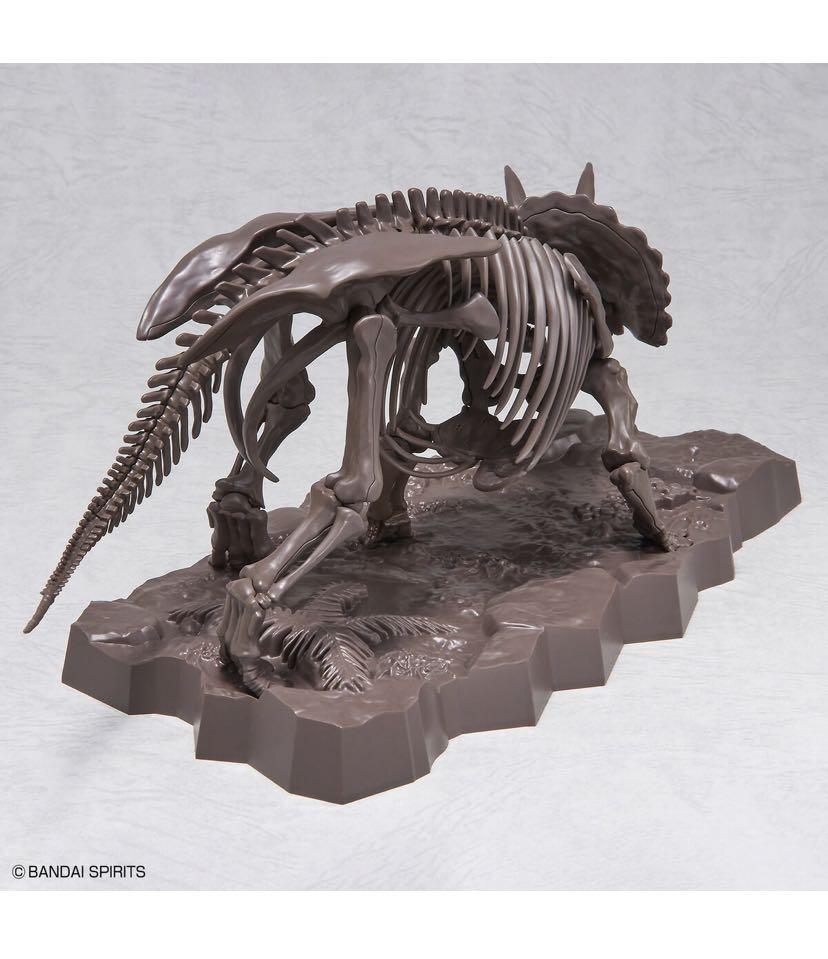 1/32 Imaginary Skeleton Triceratops Dinosaur Model Kit by Bandai ...
