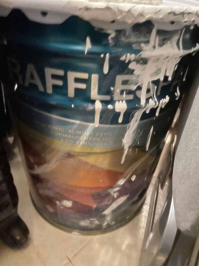 Raffles paint / eco friendly / white, Furniture & Home Living, Home ...