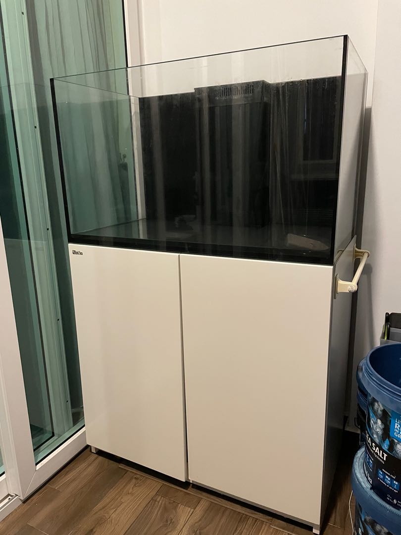 Reefer 250 fish tank, Pet Supplies, Homes & Other Pet Accessories on ...