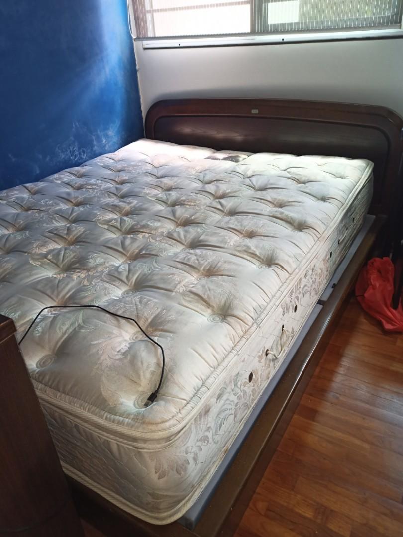 Simmons Queen Solid Wood Bed Frame, Furniture & Home Living, Furniture ...