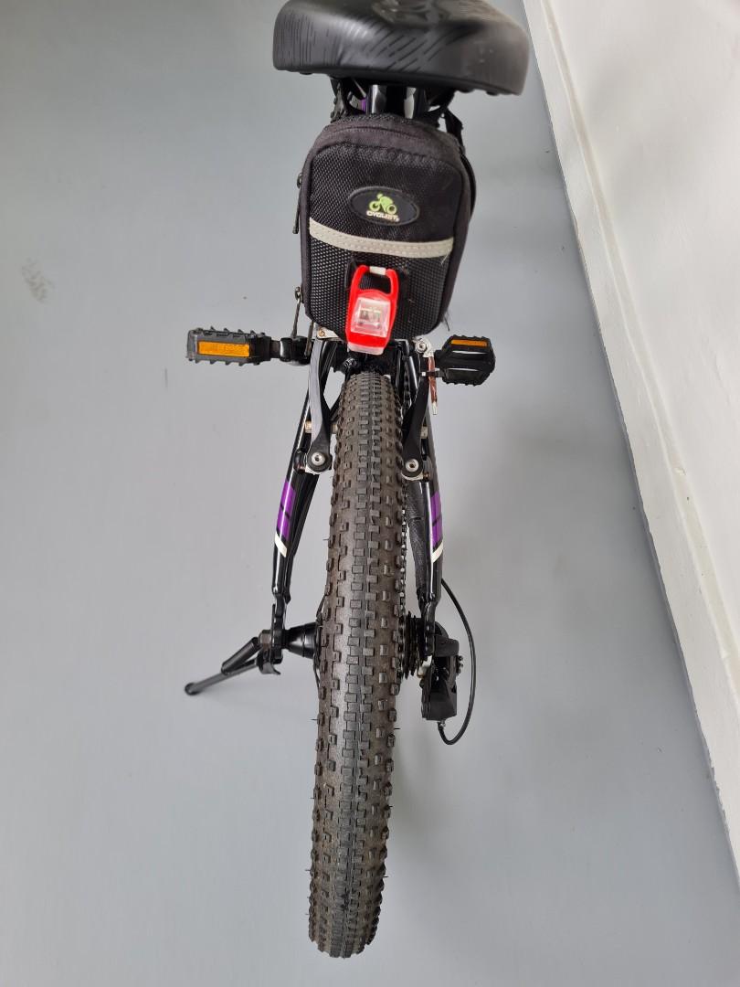 20-inch Trek Precaliber 6-speed Kids' Bike, Sports Equipment, Bicycles ...