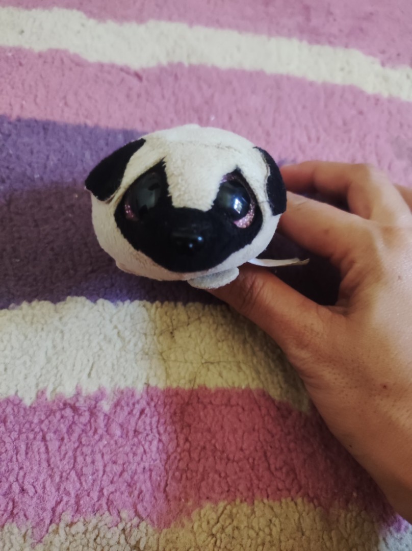 Ty beanie boos Pug puppy plushy soft toy fidget toy, Hobbies & Toys ...