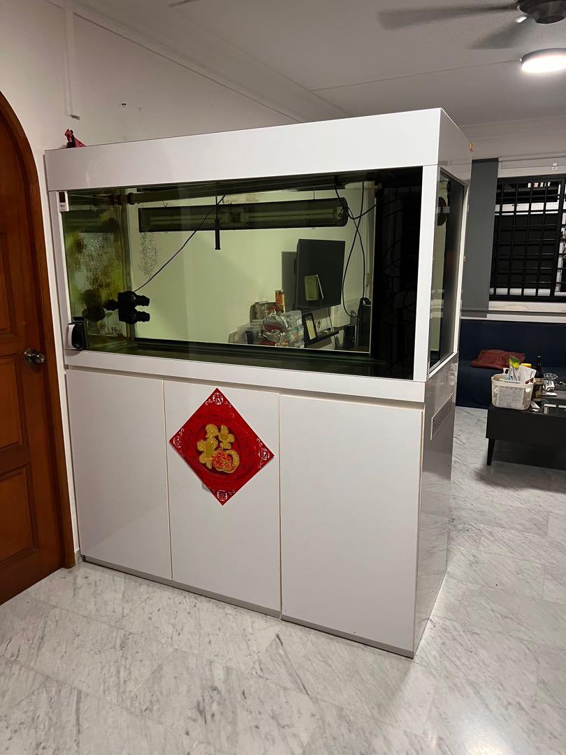 5 Feet Fish Tank with Sump In Cabinet!, Pet Supplies, Homes & Other Pet ...